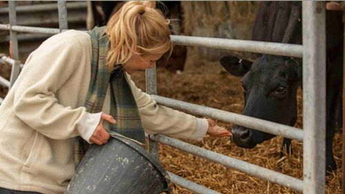 Cattle Feed HSN Code and GST Rate: A Detailed Guide